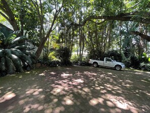Uma caminhonete branca estacionada em área pavimentada, cercada por folhagem e árvores densas.