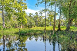 Paisagem natural com um corpo d'água rodeado por árvores e grama.