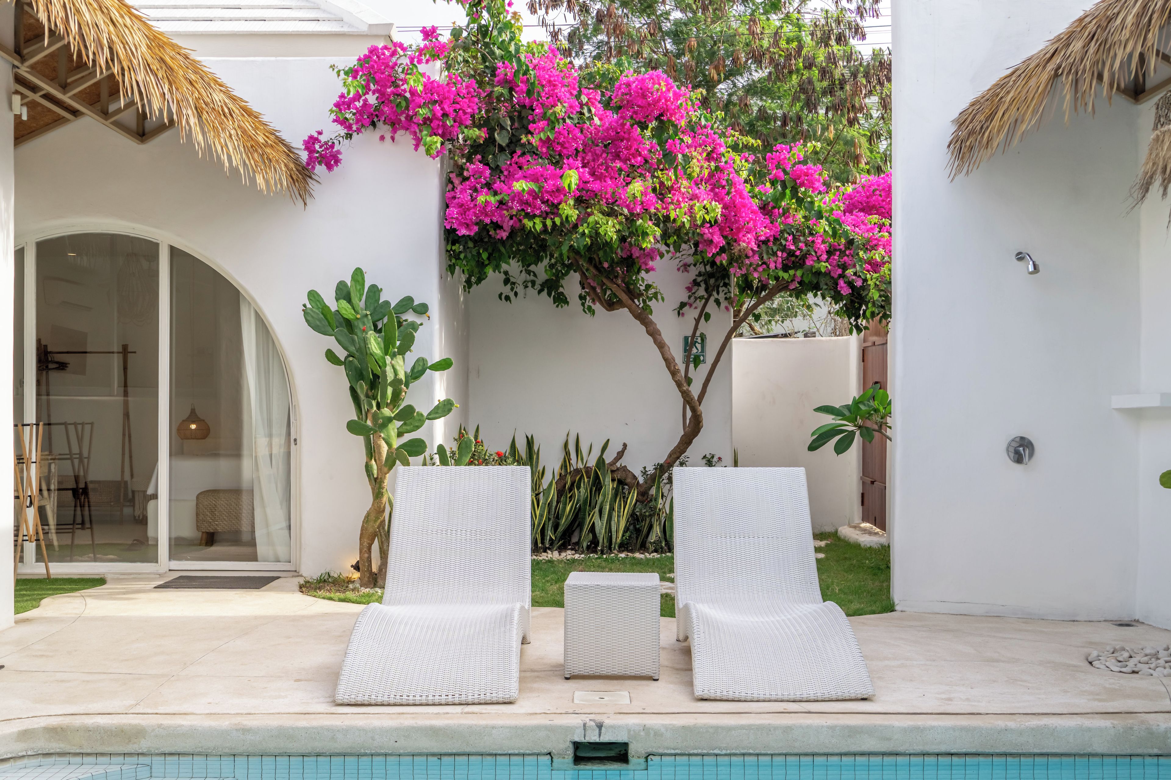 Área de piscina com duas cadeiras de descanso brancas, uma planta cacto e uma árvore florida.