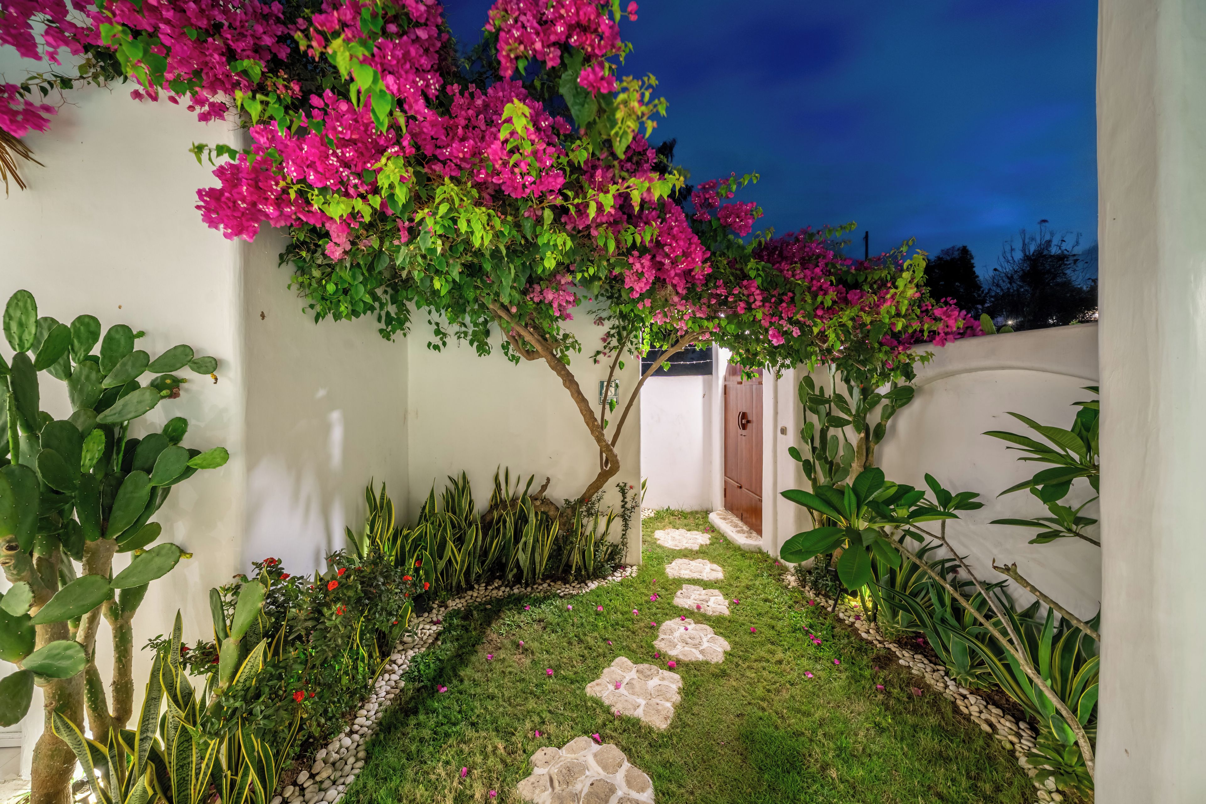 Uma passagem no jardim com pedras no caminho que leva a uma porta, cercada por plantas variadas e um muro.