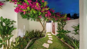 Uma passagem no jardim com pedras no caminho que leva a uma porta, cercada por plantas variadas e um muro.
