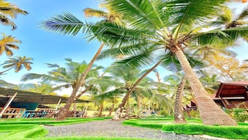 Resort tropical com palmeiras, um caminho de cascalho e construções de madeira.
