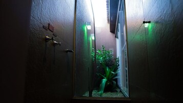 Corredor estreito com um espelho refletindo uma planta e uma porta.