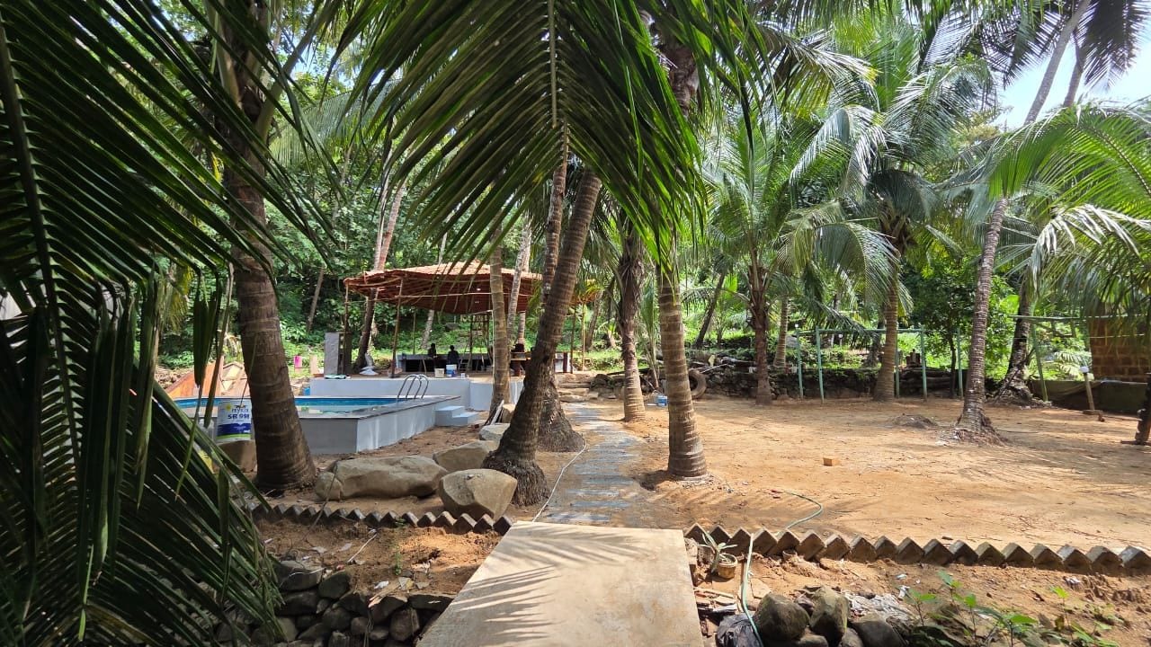 Área tropical ao ar livre com palmeiras, piscina e um espaço coberto para sentar.