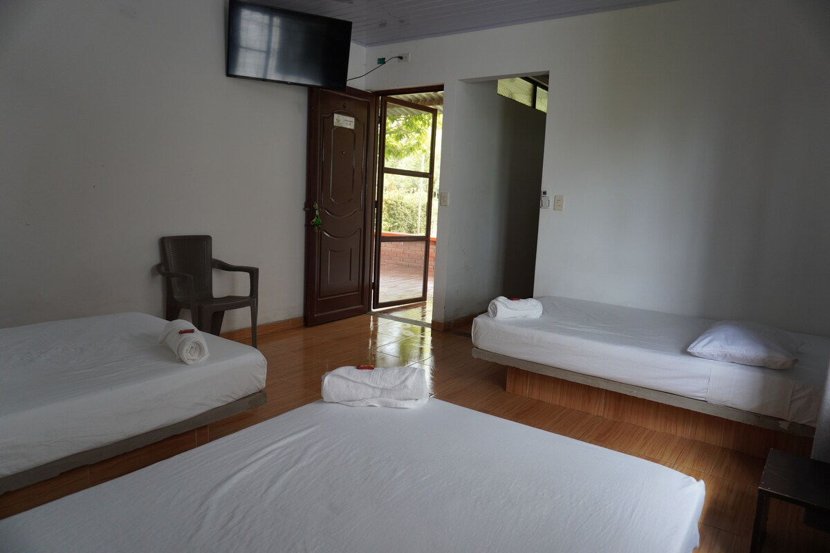 Quarto