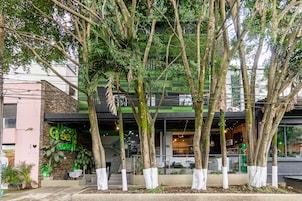 Entrada de hotel com placa verde, área de estar externa e árvores com troncos pintados de branco.