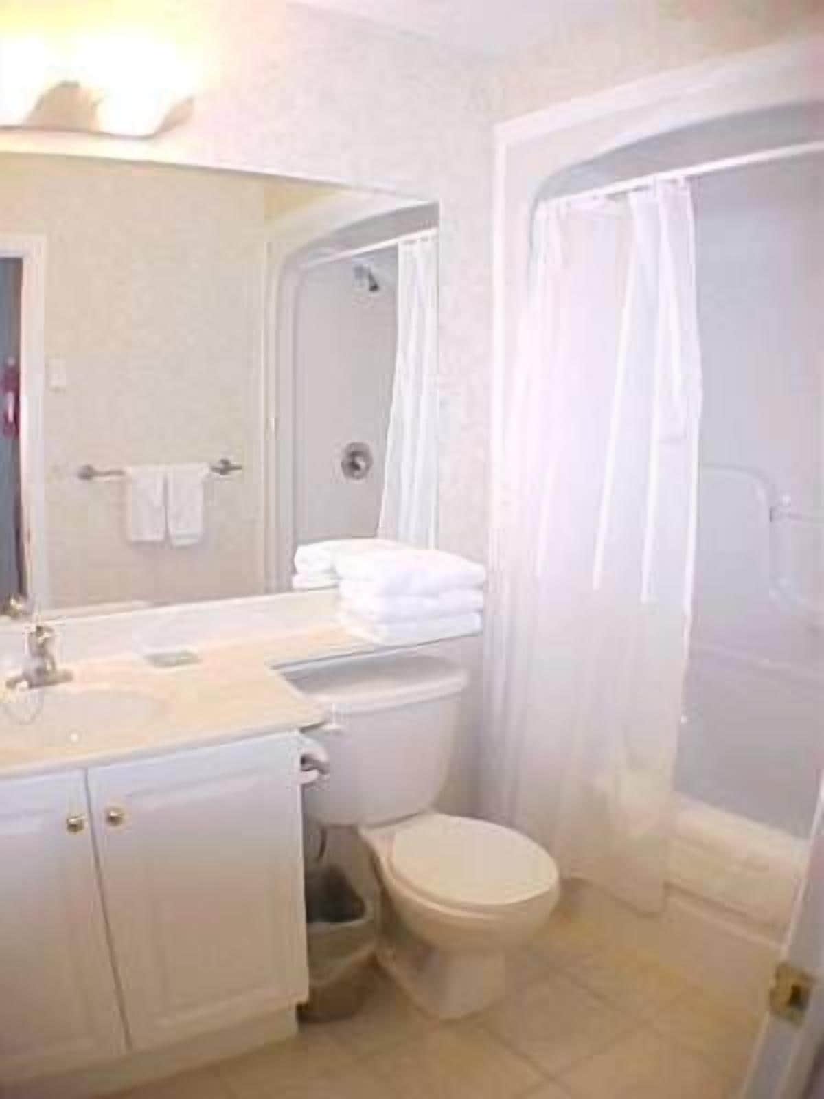 Chuveiro, produtos de toalete grátis, secador de cabelo 