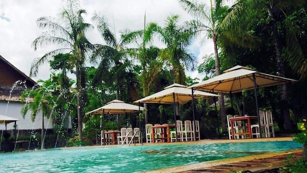Piscina com espreguiçadeiras e guarda-sóis, rodeada por palmeiras.
