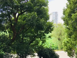 Vista do quarto
