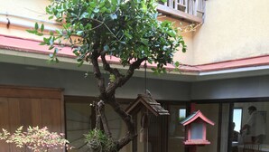 Um jardim japonês tradicional com lago de carpas, diversas plantas e uma estrutura de madeira.