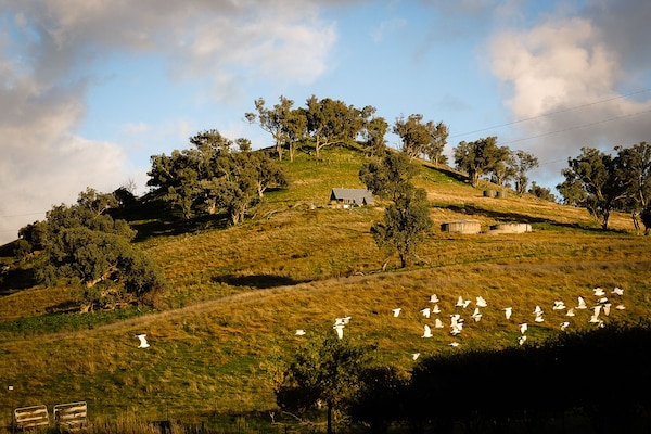 Kimo Estate - Gundagai