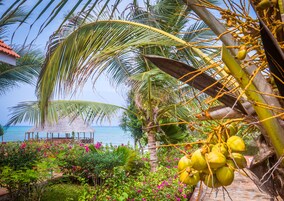 Terraço/pátio interior