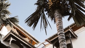 Um edifício tradicional com varandas ornamentadas e uma palmeira.