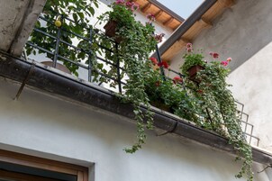 Uma varanda com vasos de plantas e flores.