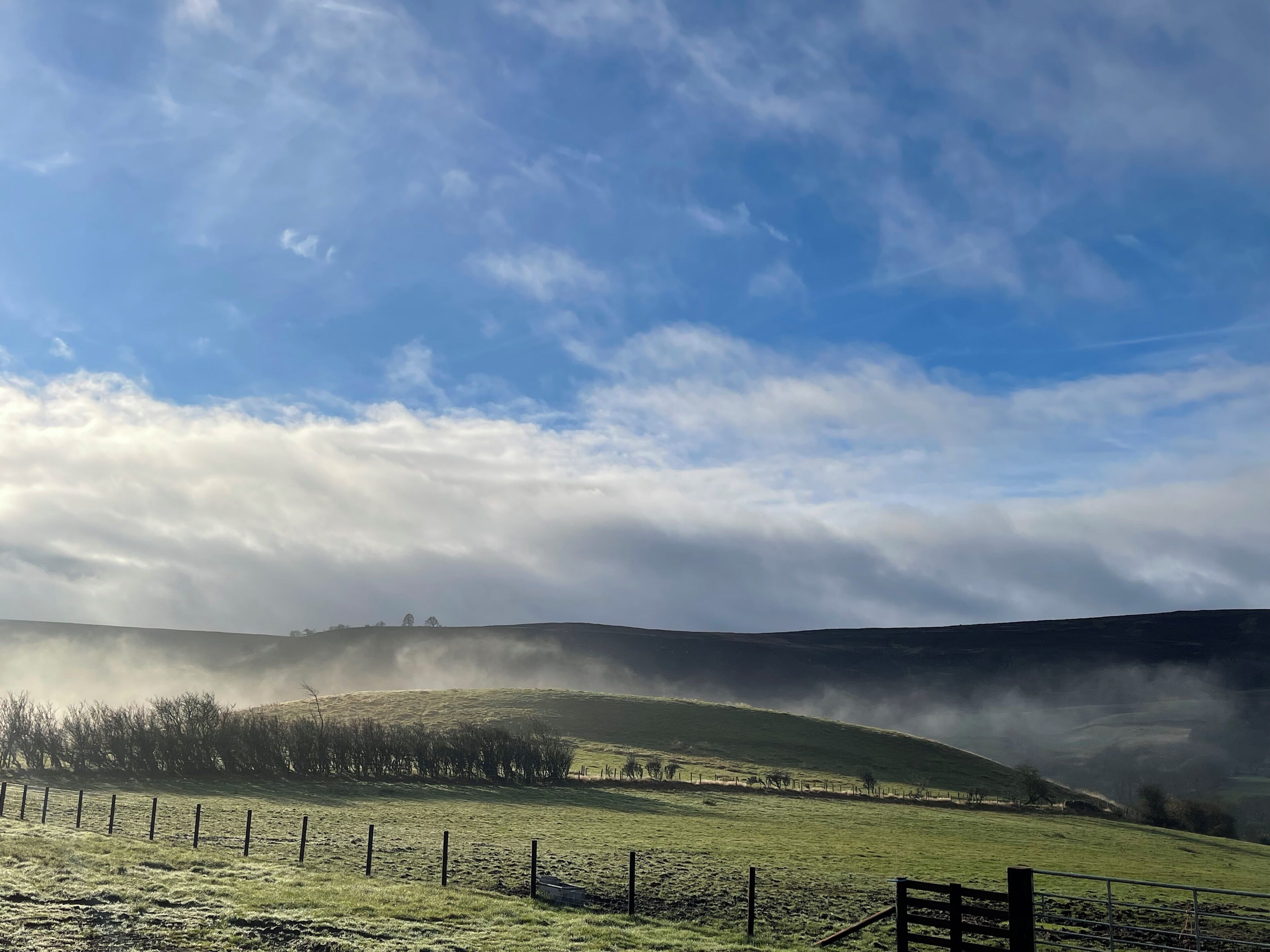 Paisagem rural com um campo gramado, uma cerca e uma colina ao fundo.