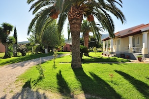 Um jardim bem cuidado com uma palmeira, um caminho e um edifício com varanda.