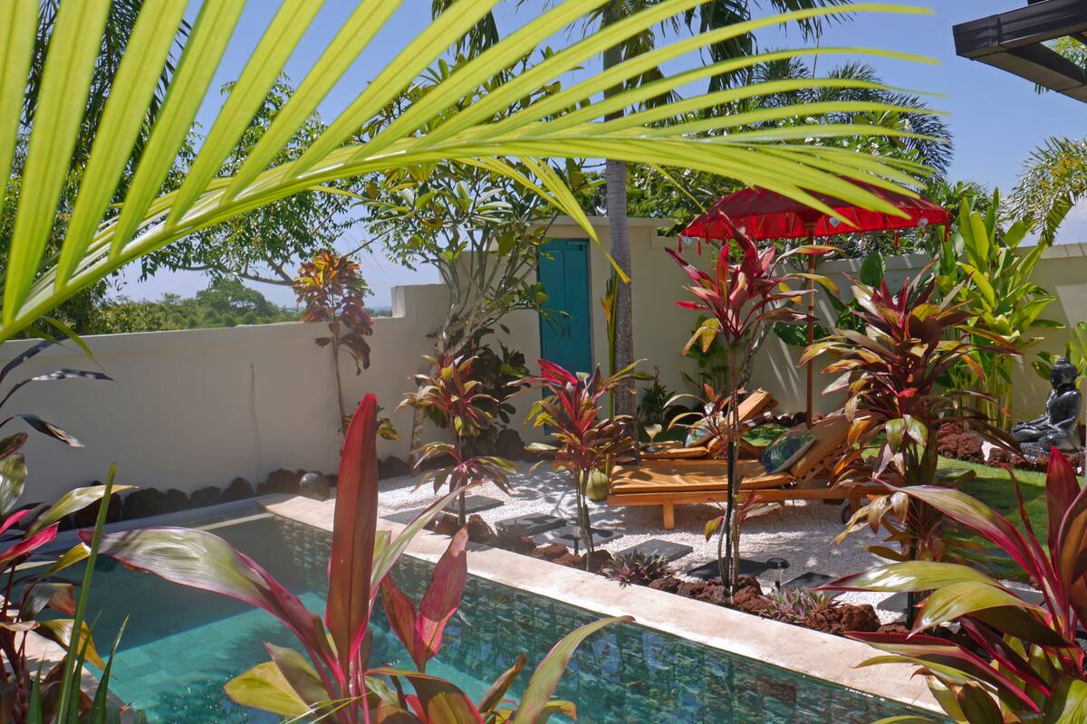 Uma área de piscina com espreguiçadeiras, uma estátua de Buda e diversas plantas tropicais.