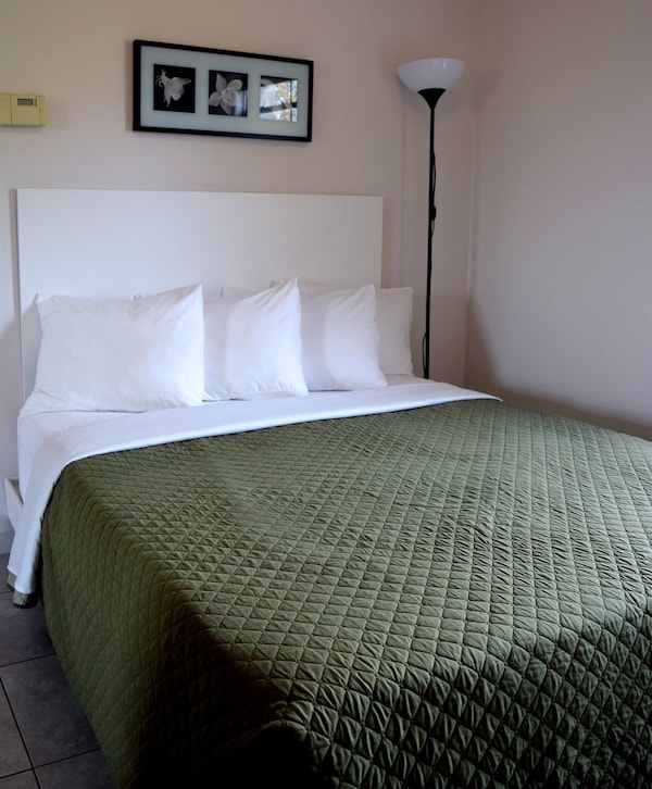 Detroit Vacation Rental - Michigan