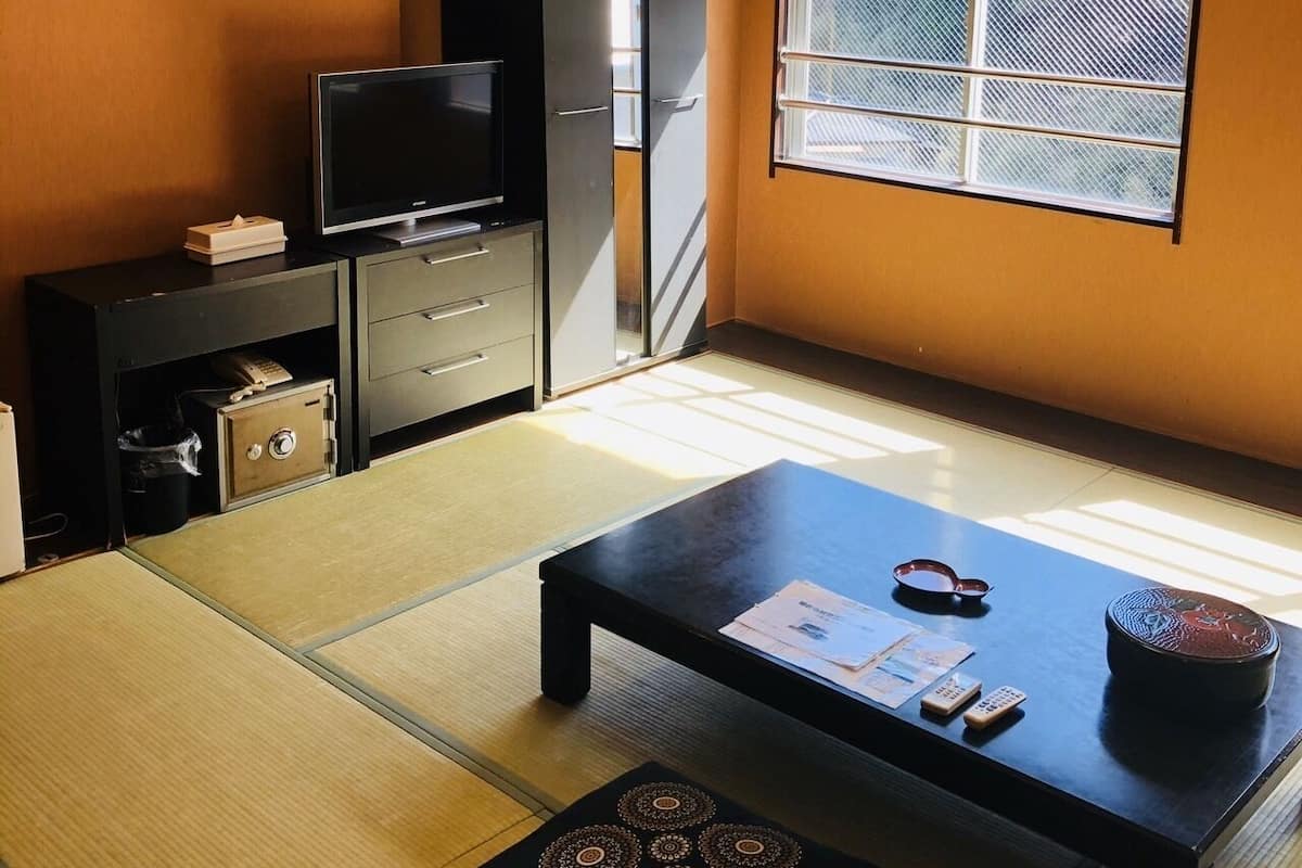 Quarto de hotel compacto com televisão em um armário, guarda-roupa com portas deslizantes, uma janela grande com vista e piso de tatame.