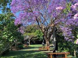 Terrenos do alojamento