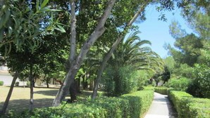 Um caminho ladeado por sebes e árvores bem aparadas, serpenteando por um parque.