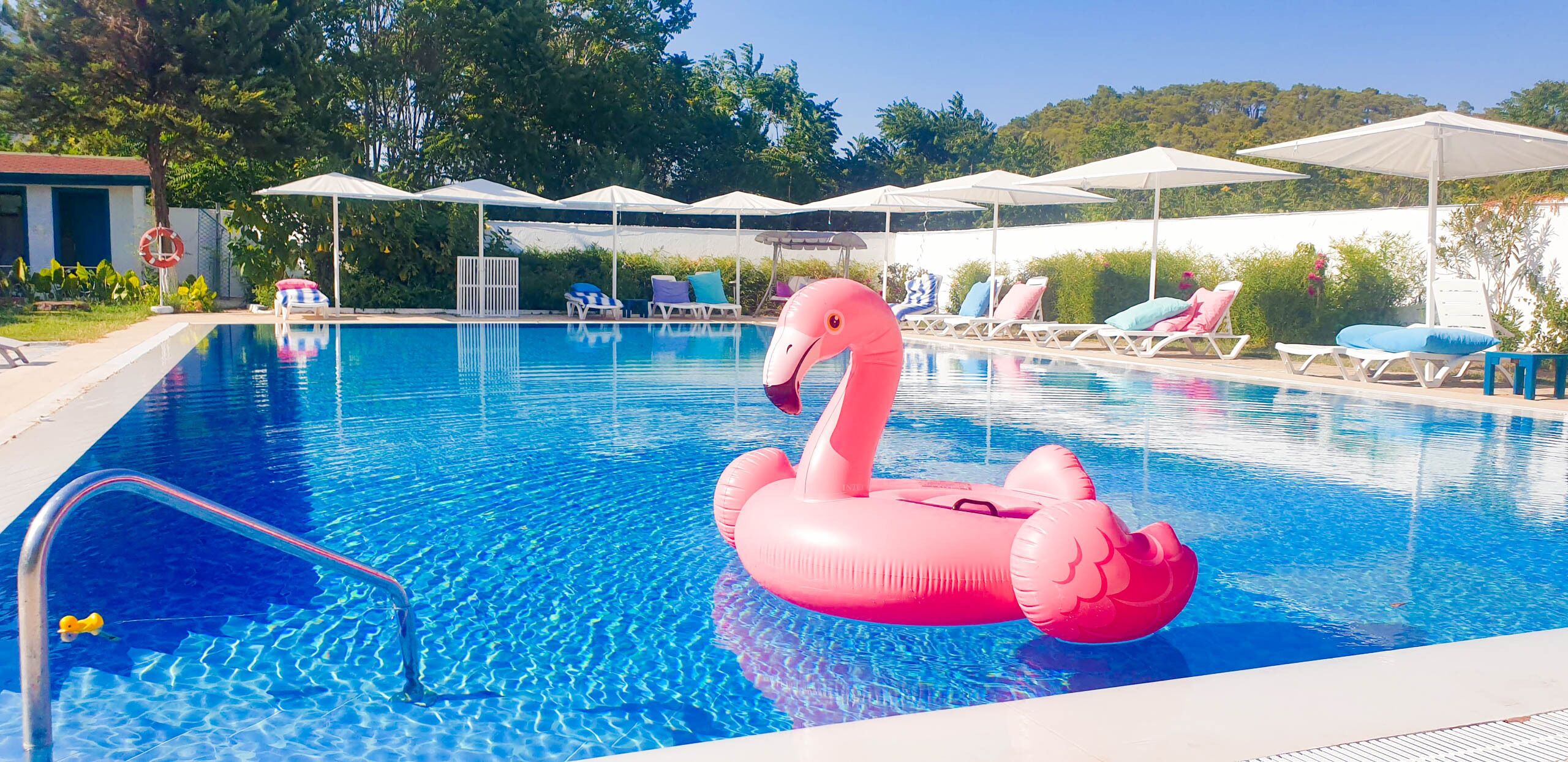 Piscina exterior, guarda-sóis, espreguiçadeiras 