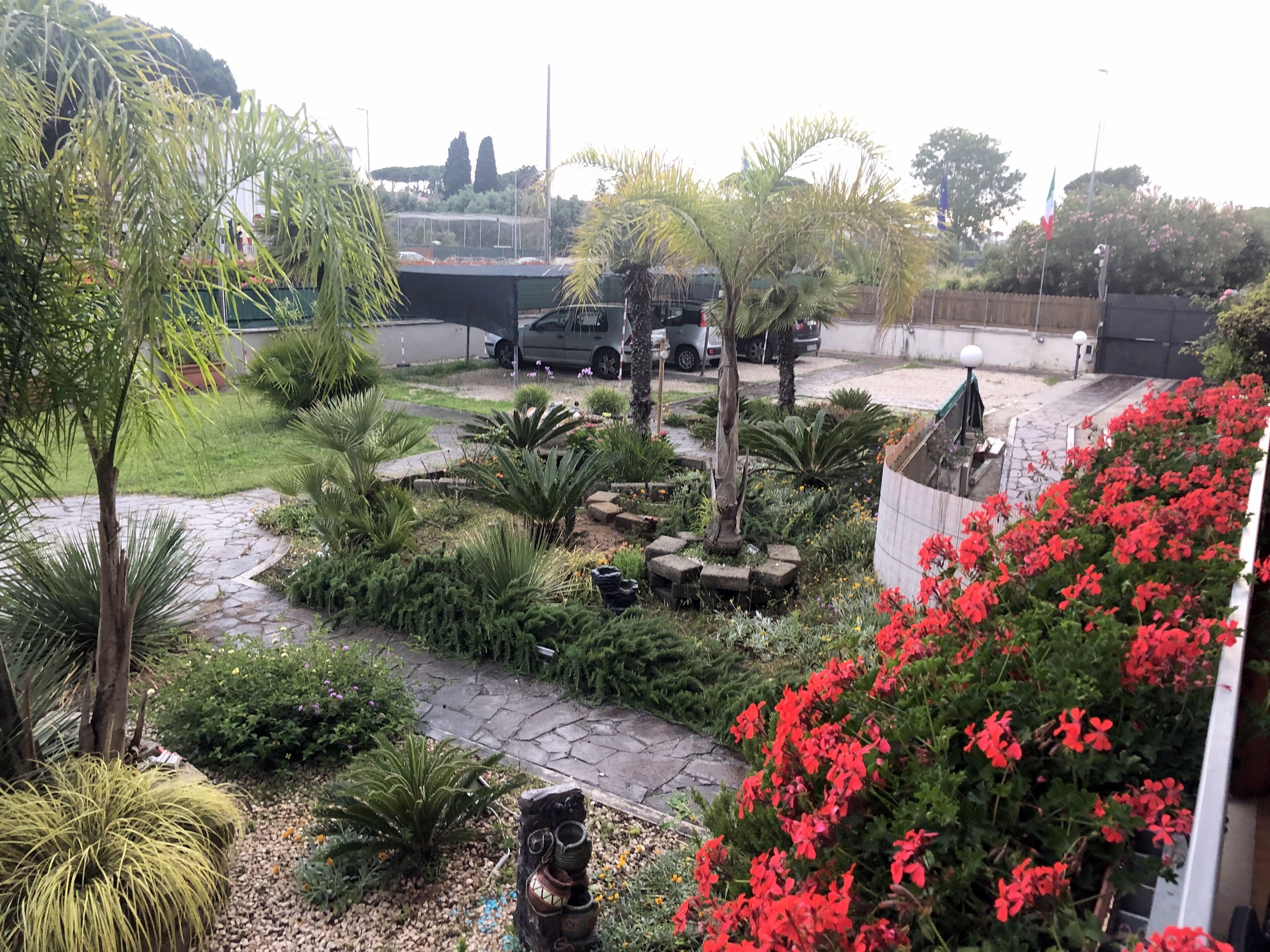 Um jardim com várias plantas e um caminho.