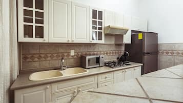 Premium Apartment 2 bedrooms | Cozinha privada | Um frigorífico, um micro-ondas, uma placa de cozinha