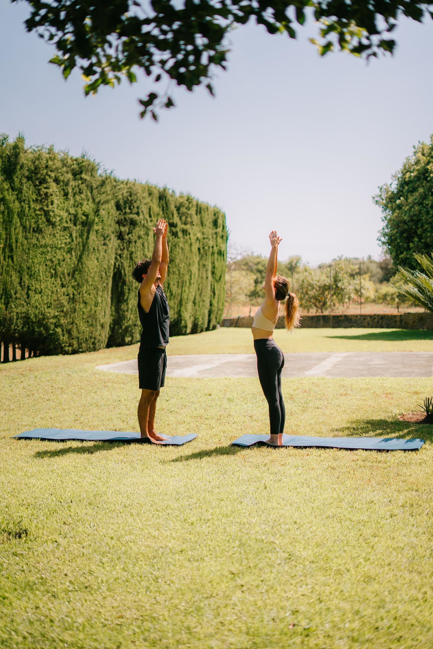Duas pessoas praticam yoga em tapetes em uma área gramada ao ar livre, com árvores e céu claro.