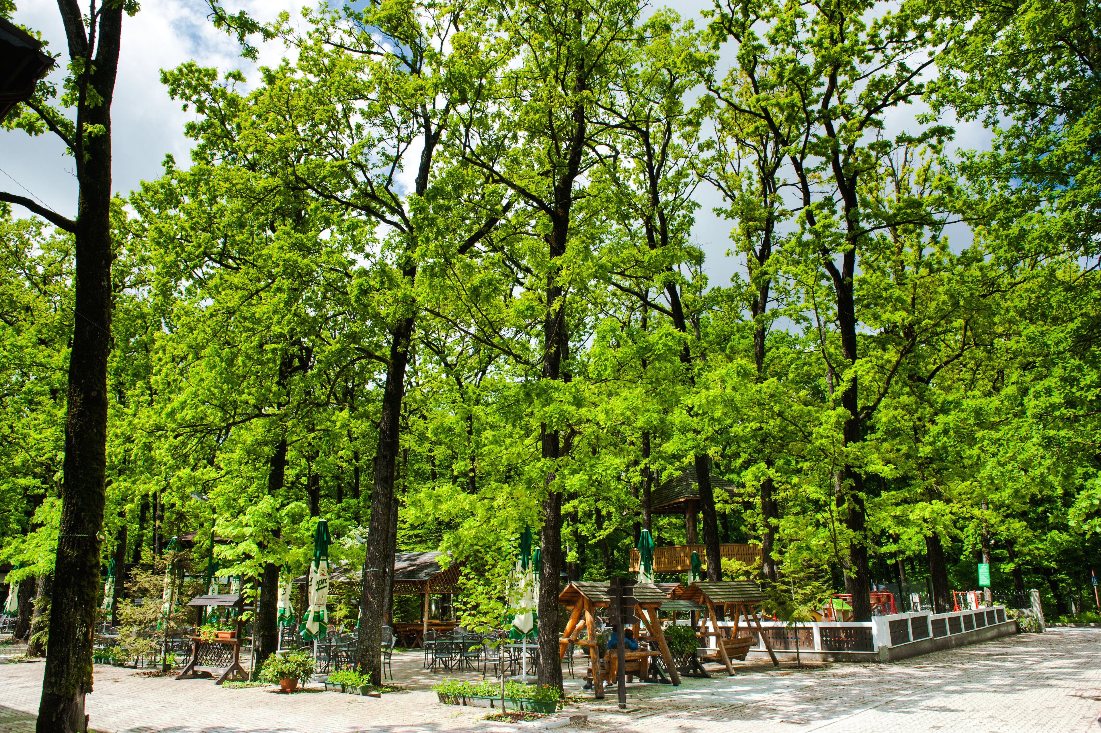 Um parque com mesas de piquenique, parquinho e um gazebo.