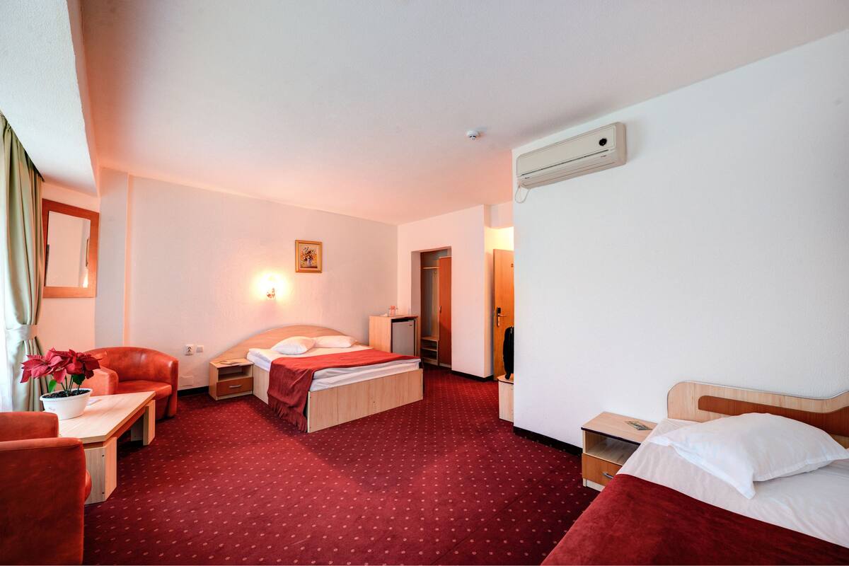 Quarto de hotel com cama, escrivaninha, cadeira, pequena mesa com uma planta e piso coberto por carpete vermelho.