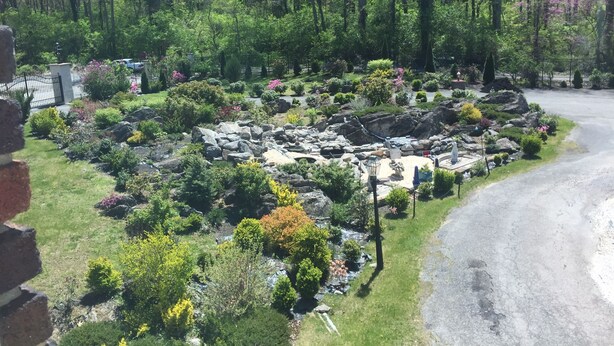 Um jardim bem cuidado com diversas plantas e um pequeno elemento aquático.
