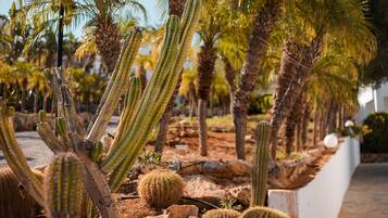 Jardim