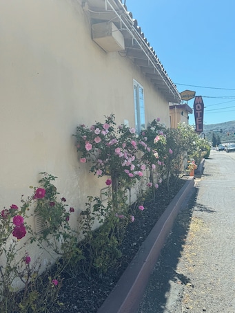 Fachada do alojamento