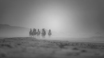 Um grupo de pessoas a cavalo em uma paisagem nevoenta.