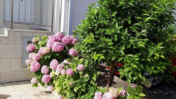 Apartamento (Apartments Pojko - Standard One-Bedro) | Jardim