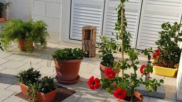 Apartamento (Apartments Pojko - One-Bedroom Apartm) | Pormenores do interior