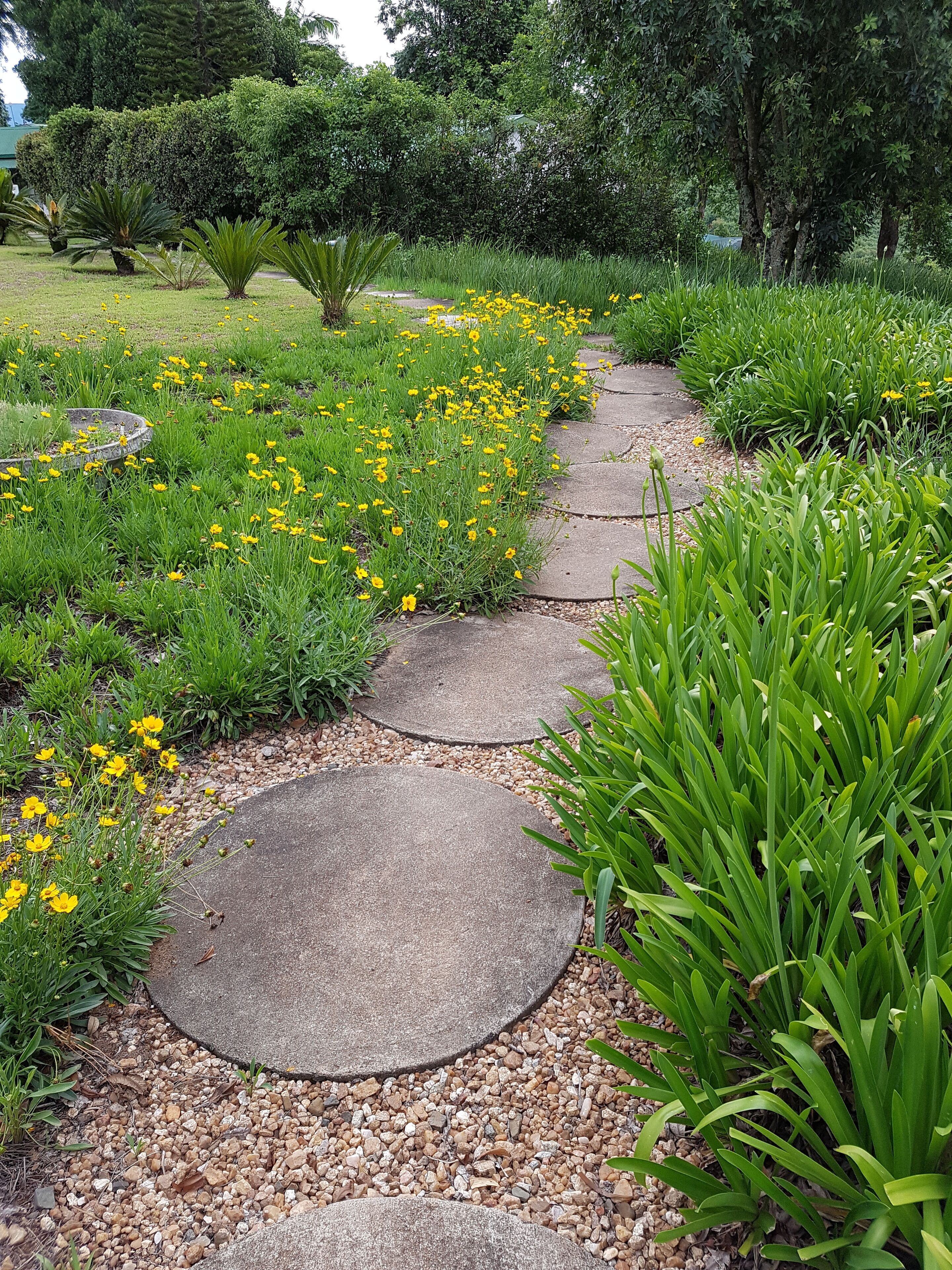 Um caminho no jardim com lajes de pedra circulares, ladeado por folhagem verde e flores amarelas.