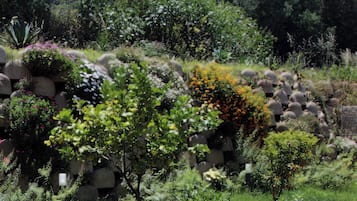 Quarto Duplo Comfort, varanda, junto ao jardim | Vista da varanda