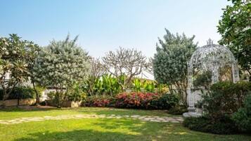 Jardim
