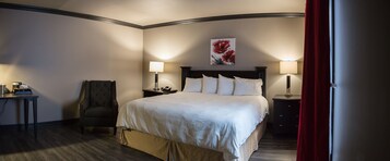 Quarto Standard, 1 cama king-size | Minibar, secretária, cortinas/cortinados opacos, ferro/tábua de engomar 