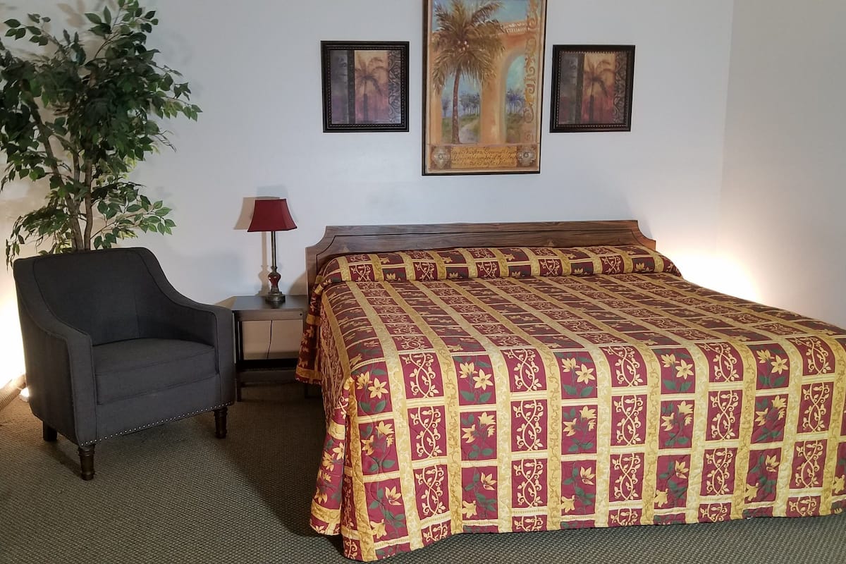 Quarto de hotel com cama, uma cadeira, mesa de cabeceira, luminária, planta e micro-ondas.