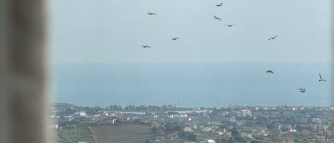 Uma cidade costeira com vista para o mar e um templo antigo imponente.