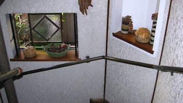 Uma escada com corrimão, uma janela com vista para o verde e uma prateleira com produtos de panificação.