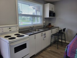 Estúdio, 2 camas Queen, cozinha | Cozinha privada | Cafeteira/chaleira, geladeira, micro-ondas, chaleira elétrica