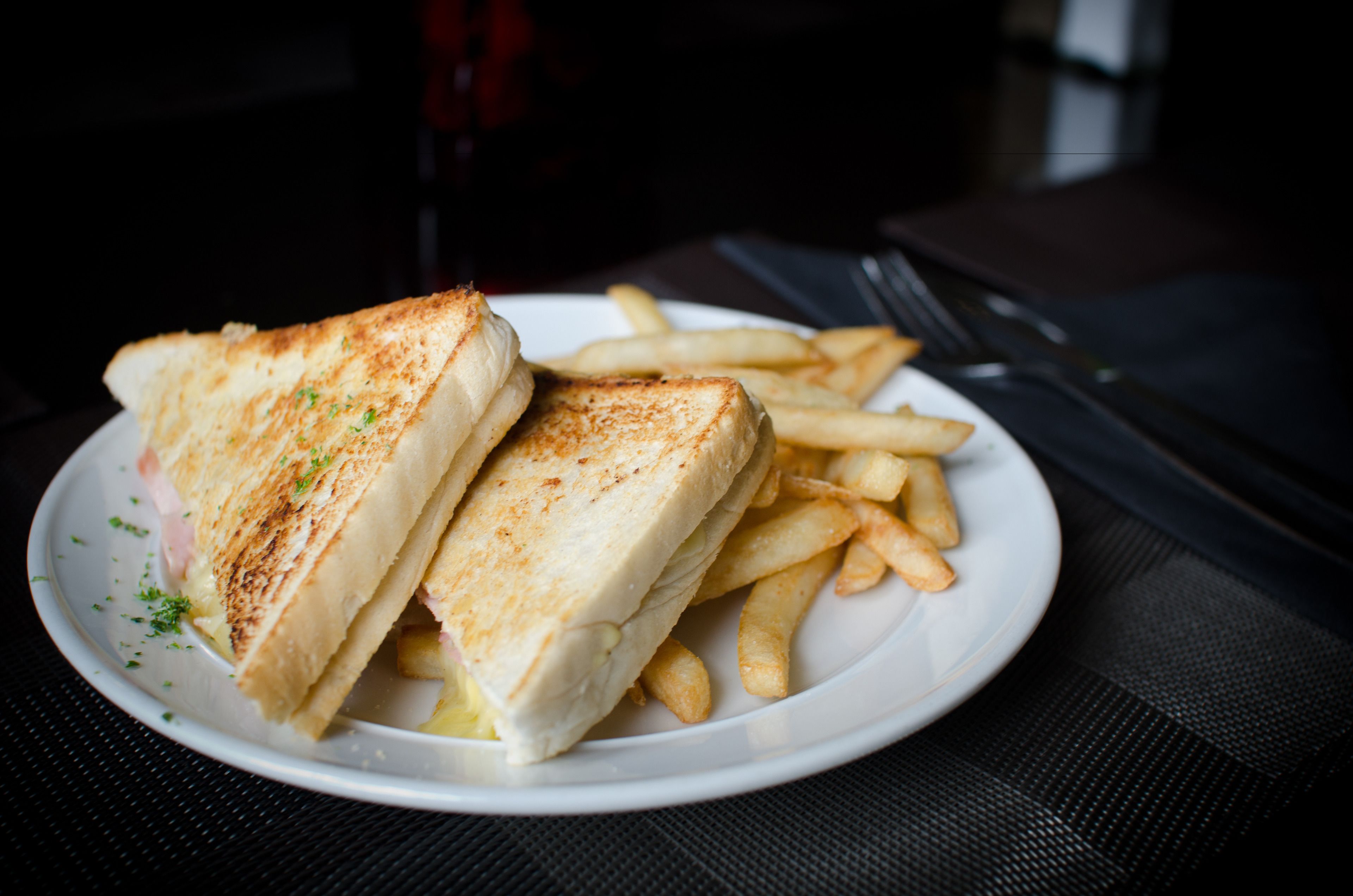 Um prato com sanduíche grelhado e batatas fritas.