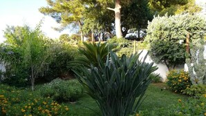 Um jardim com diversas plantas e flores, incluindo uma agave grande no centro.