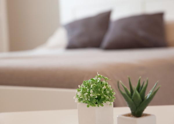 Bianco Sale Trapani - Marsala