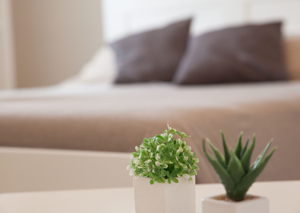 Bianco Sale Trapani - Marsala