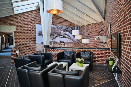 Lounge no hall. Stay and Sleep